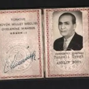 Arslan Bora - Biyografya